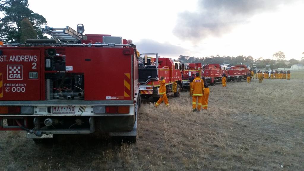 Contribution – Craig D Robinson